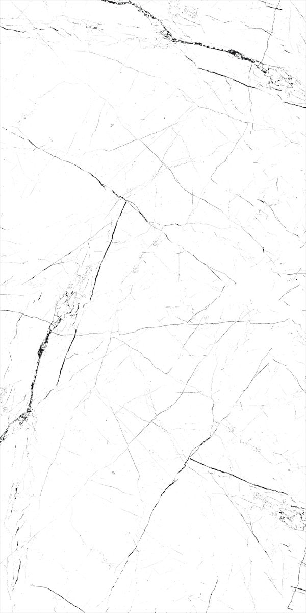 Pietra White Polished Tile 60x120 cm I Tiles DIY