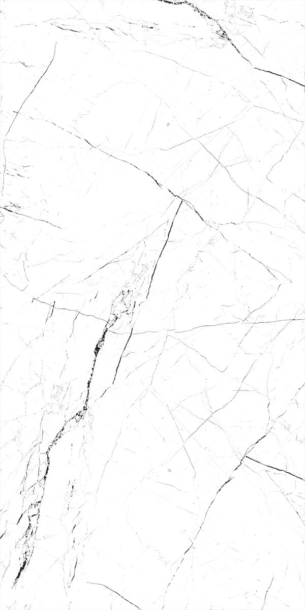 Pietra White Polished Tile 60x120 cm I Tiles DIY