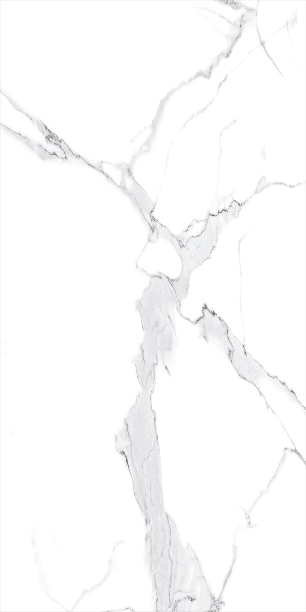 Calacatta Blanco Polished Tile 60x120 cm I Tiles DIY
