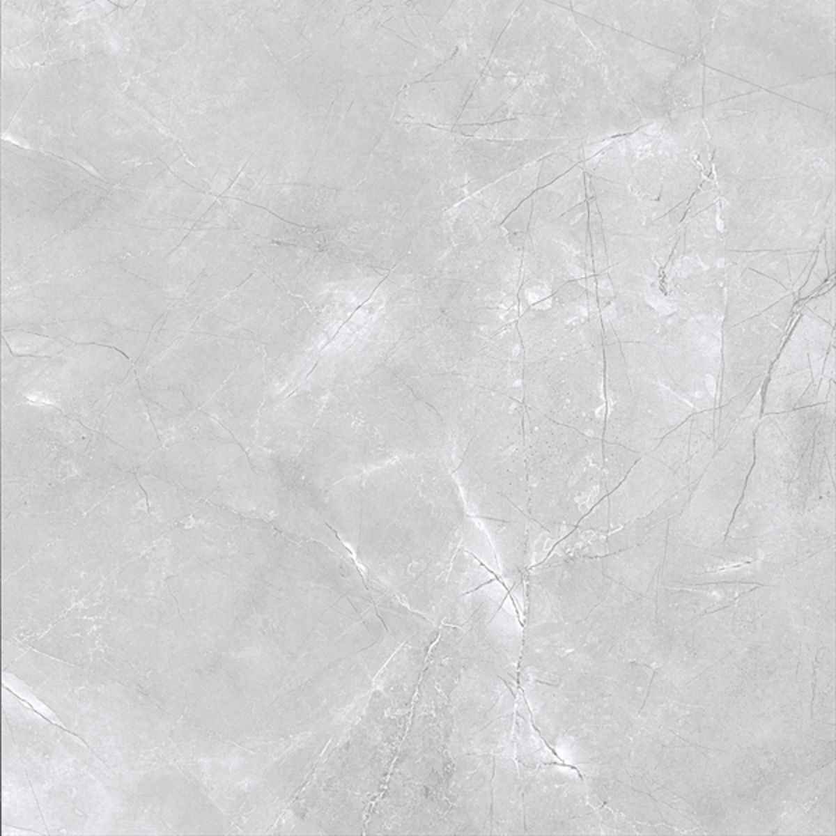 Silver Ice Polished Tile 60x60 cm I Tiles DIY