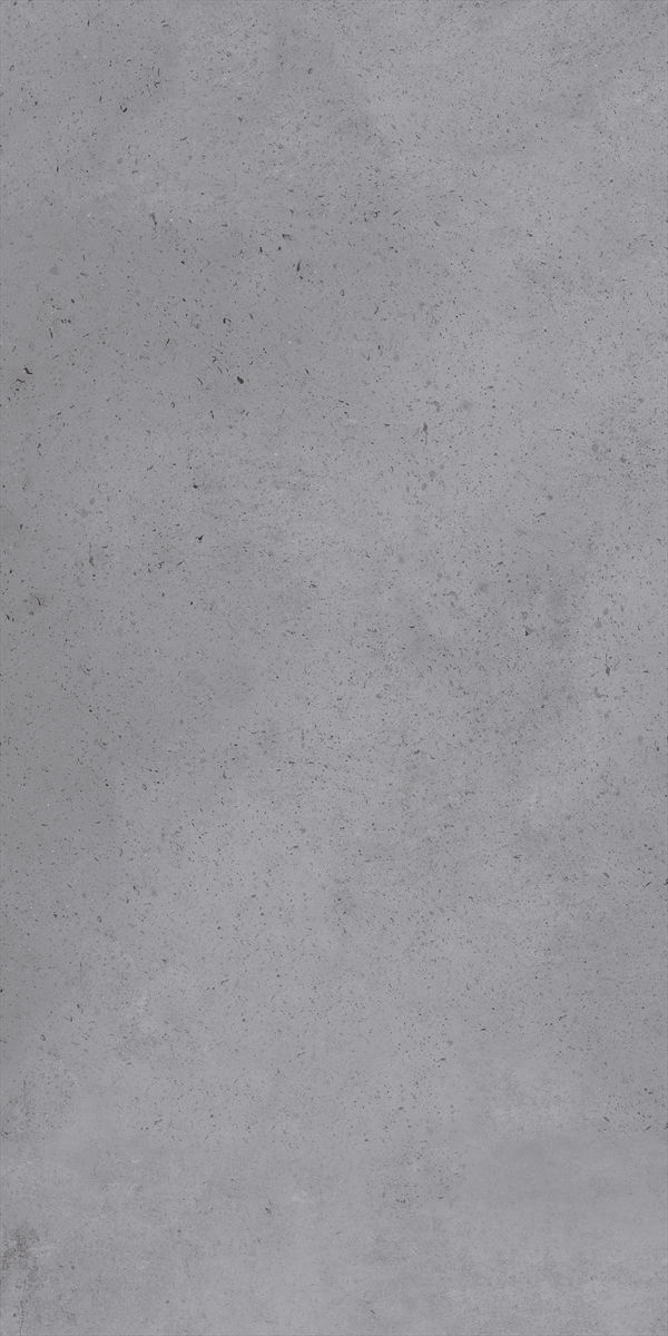 Earth Grey Matt Tile 60x120 cm I Tiles DIY