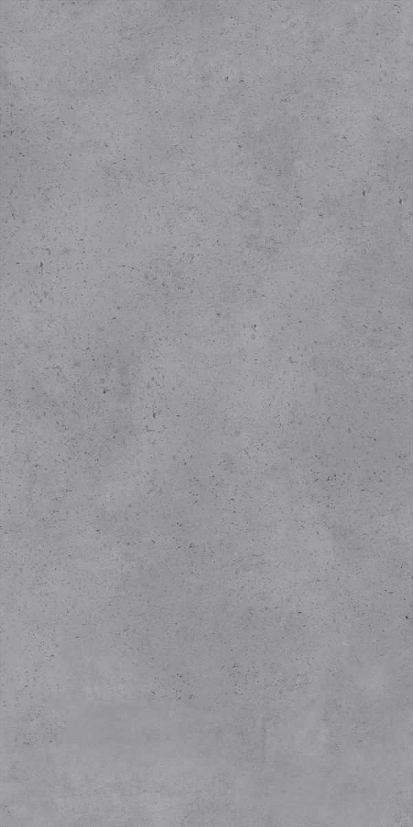 Earth Grey Matt Tile 60x120 cm I Tiles DIY