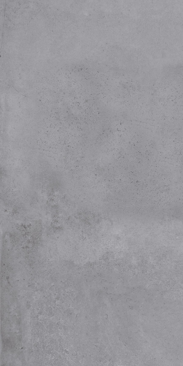 Earth Grey Matt Tile 60x120 cm I Tiles DIY