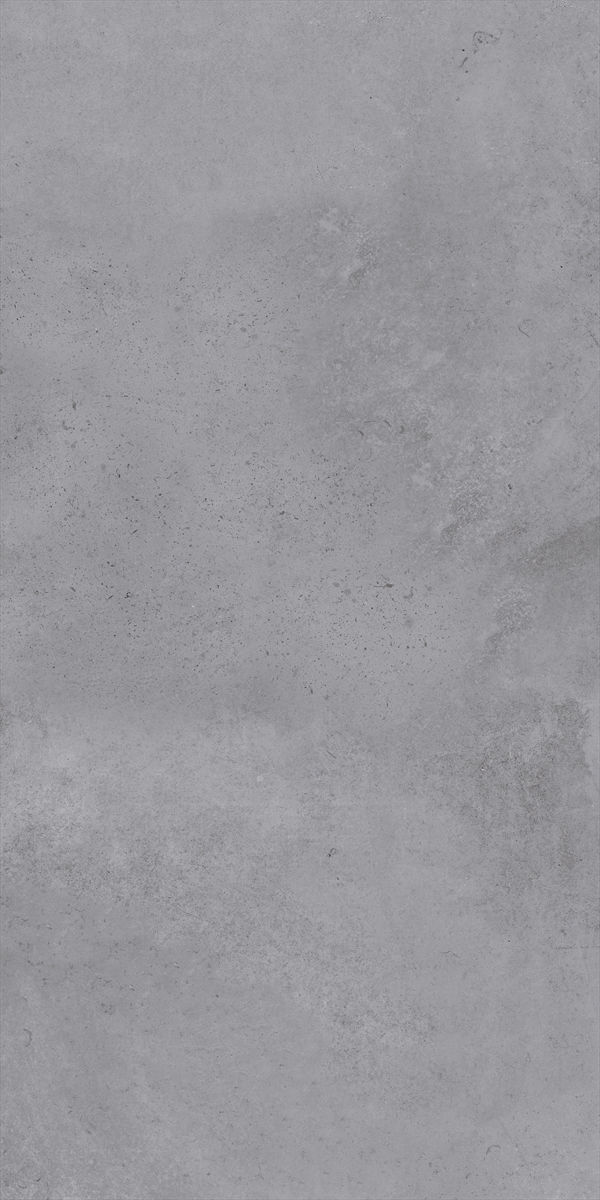 Earth Grey Matt Tile 60x120 cm I Tiles DIY
