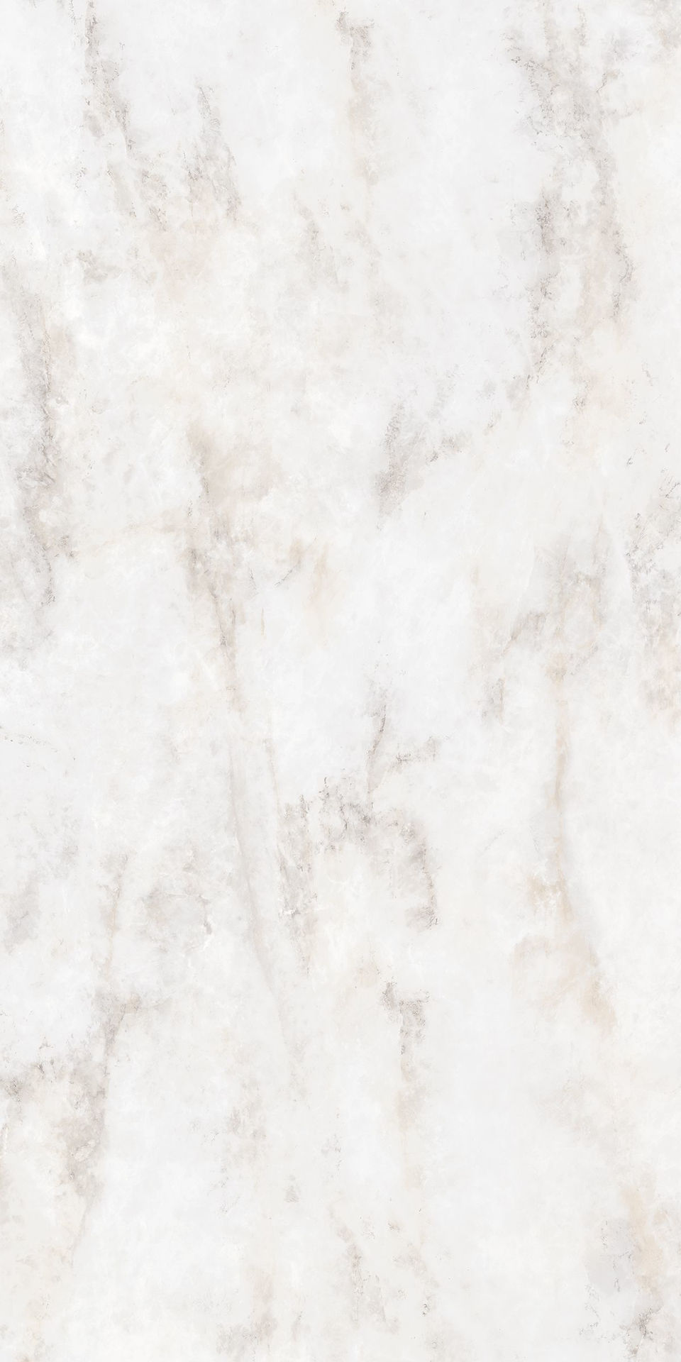 Patagonia White Polished Tile 60x120 cm I Tiles DIY