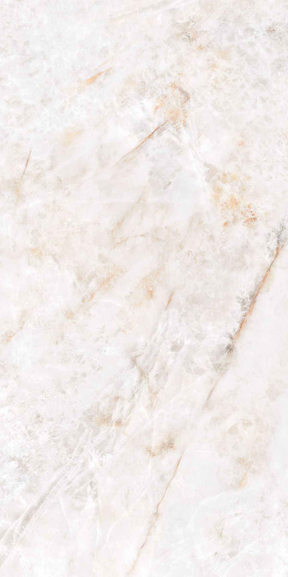 Chile White Polished Bookmatch (A) 60x120 cm I Tiles DIY