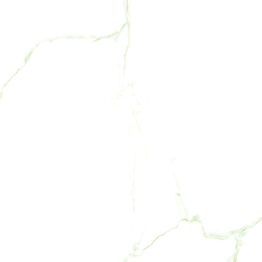 Phoenix Polished Tile 60x60 cm I Tiles DIY
