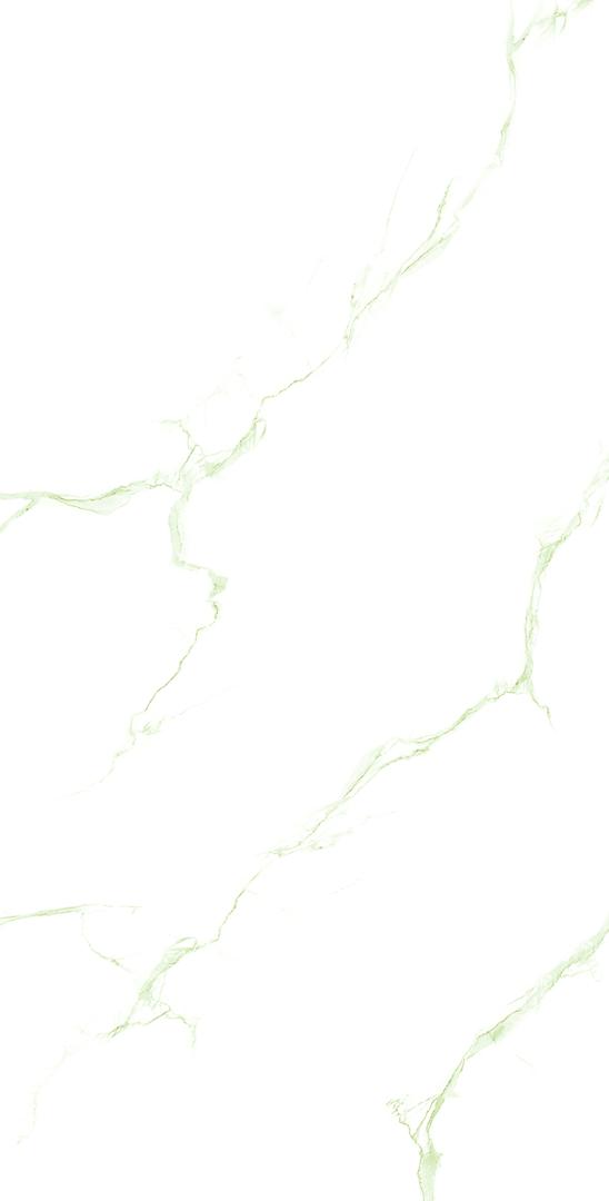 Phoenix Polished Tile 60x120 cm I Tiles DIY